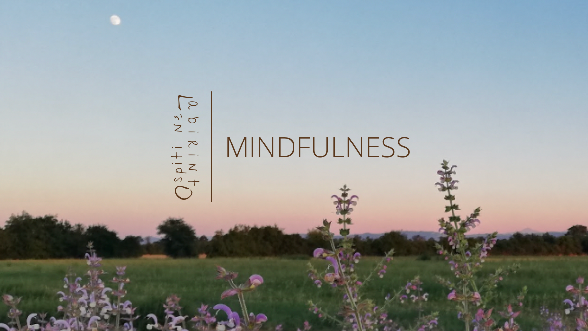 Mindfulness immersi nella natura – Il Labirinto